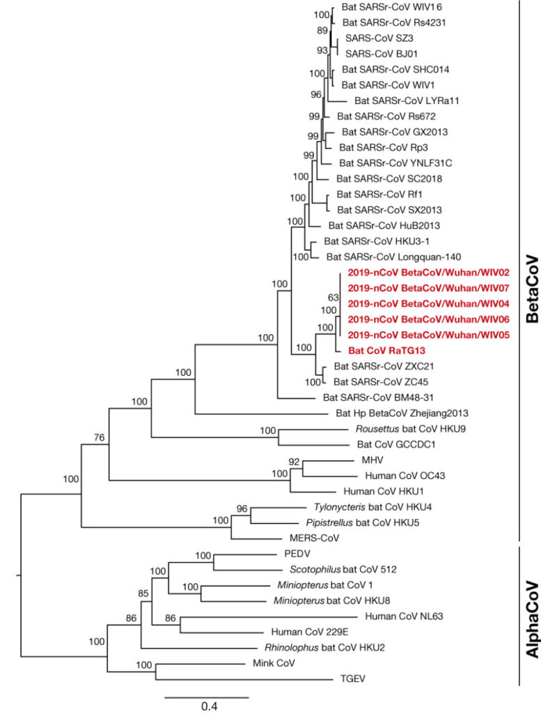 Visualising the Virus